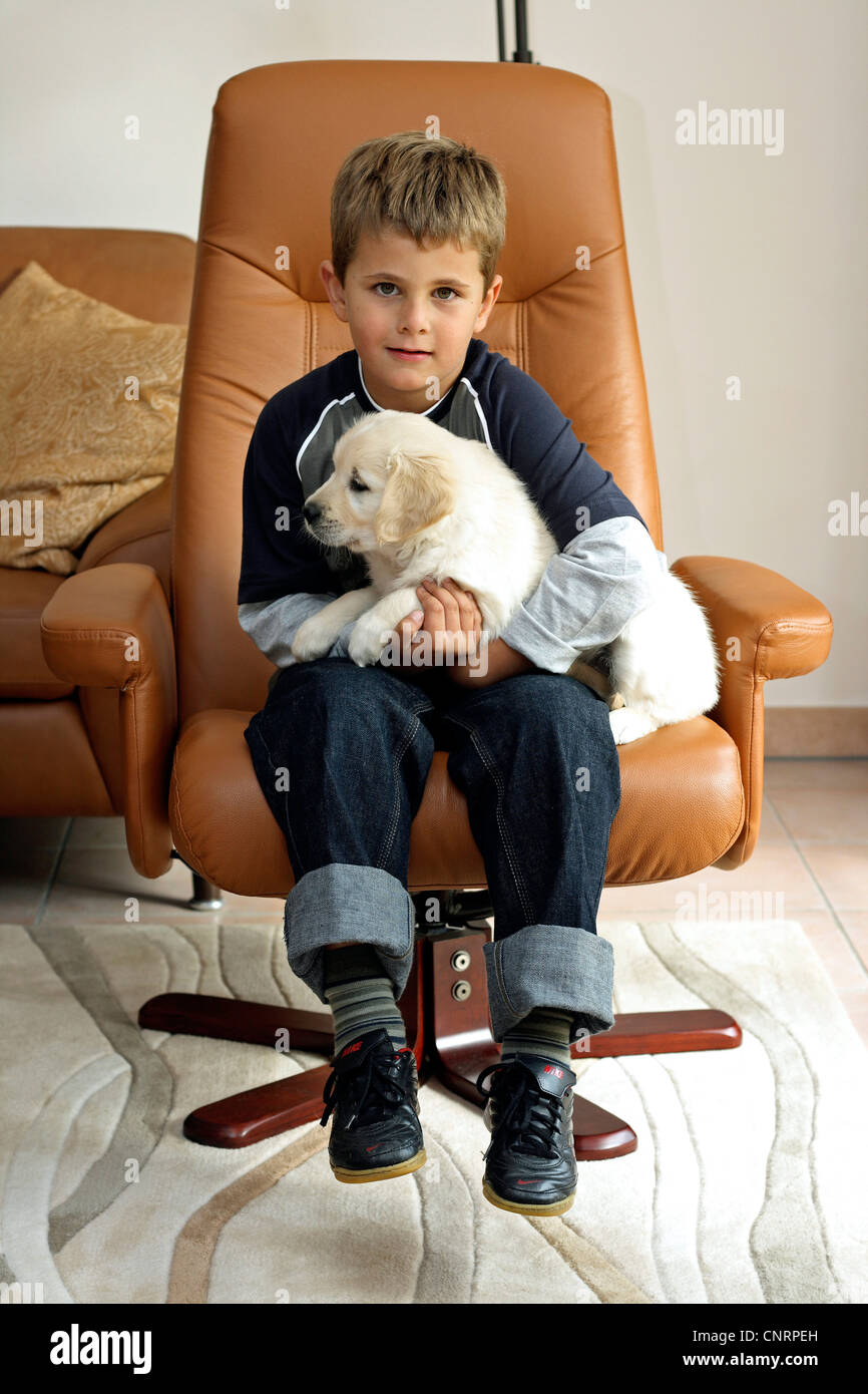Golden Retriever (Canis lupus f. familiaris), boy sitsin the living ...