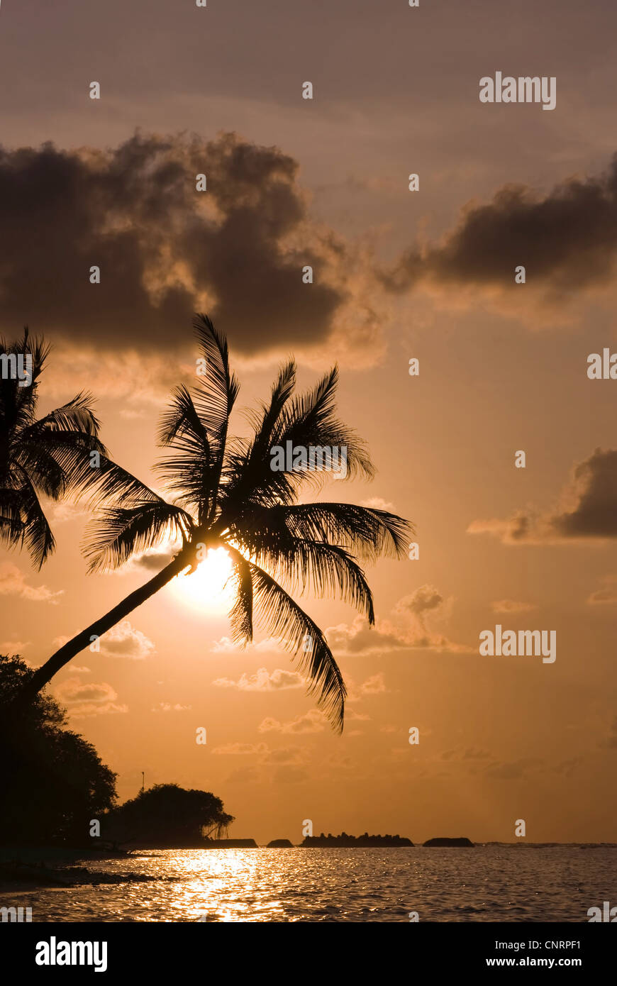 sunset at the dream beach Stock Photo - Alamy