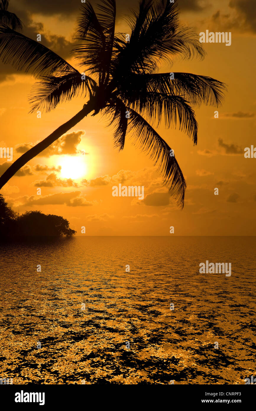 Dreamlike landscapes in vertical hi-res stock photography and images ...