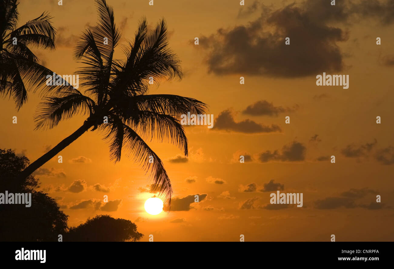sunset at the dream beach Stock Photo - Alamy