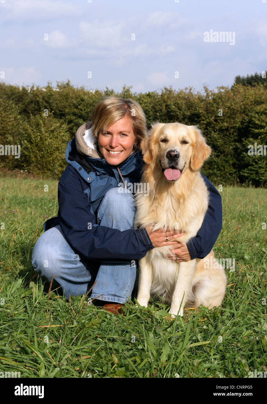 Young golden retrievers hi-res stock photography and images - Alamy