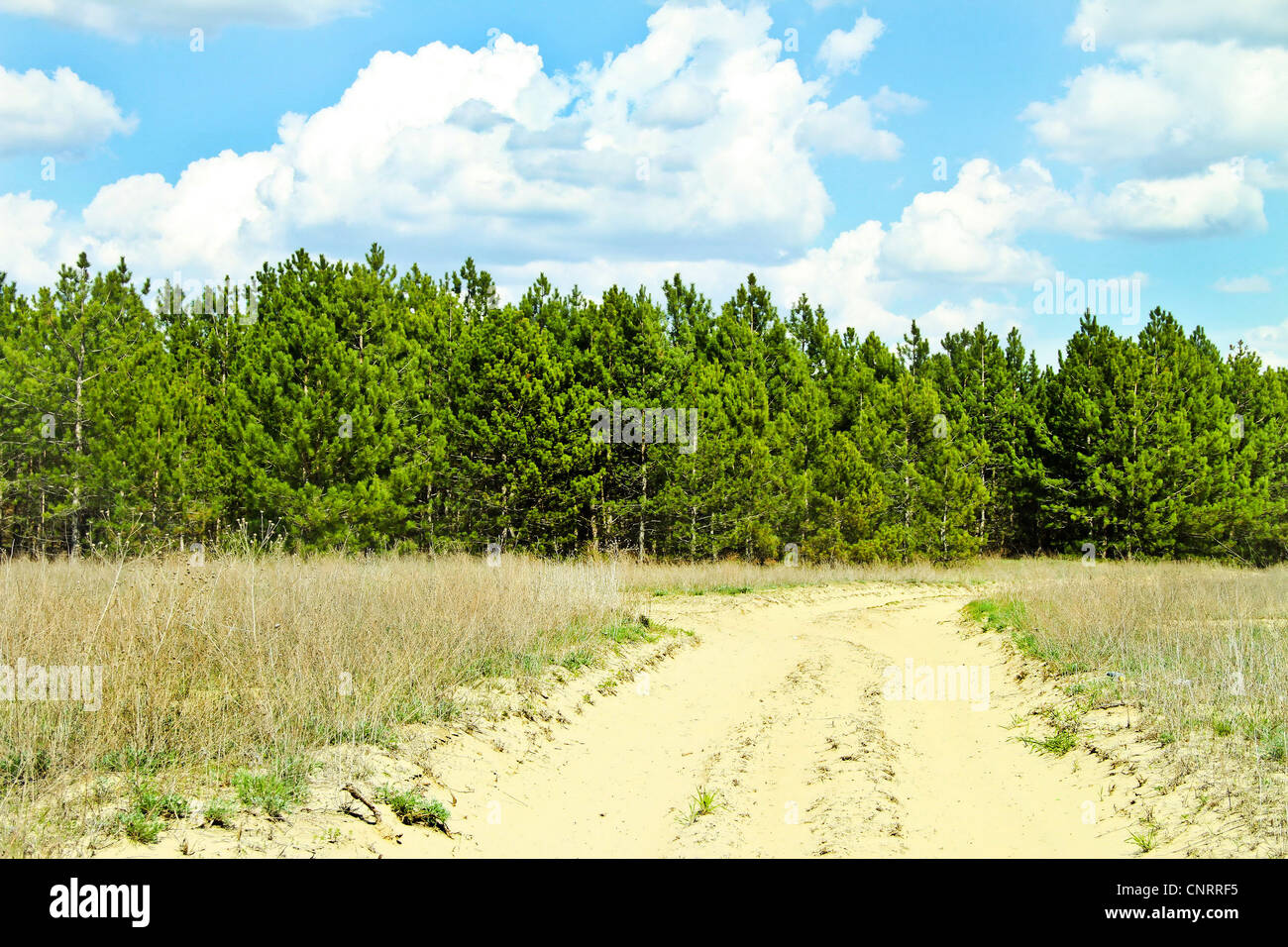 Sandy road with trees and clouds hi-res stock photography and images ...