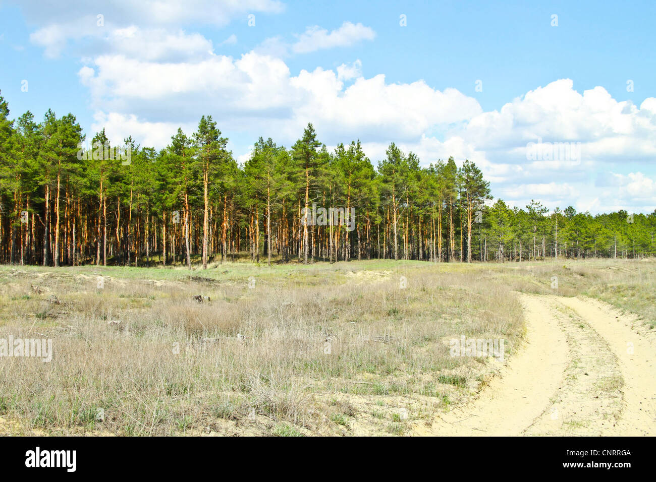 Sandy road with trees and clouds hi-res stock photography and images ...