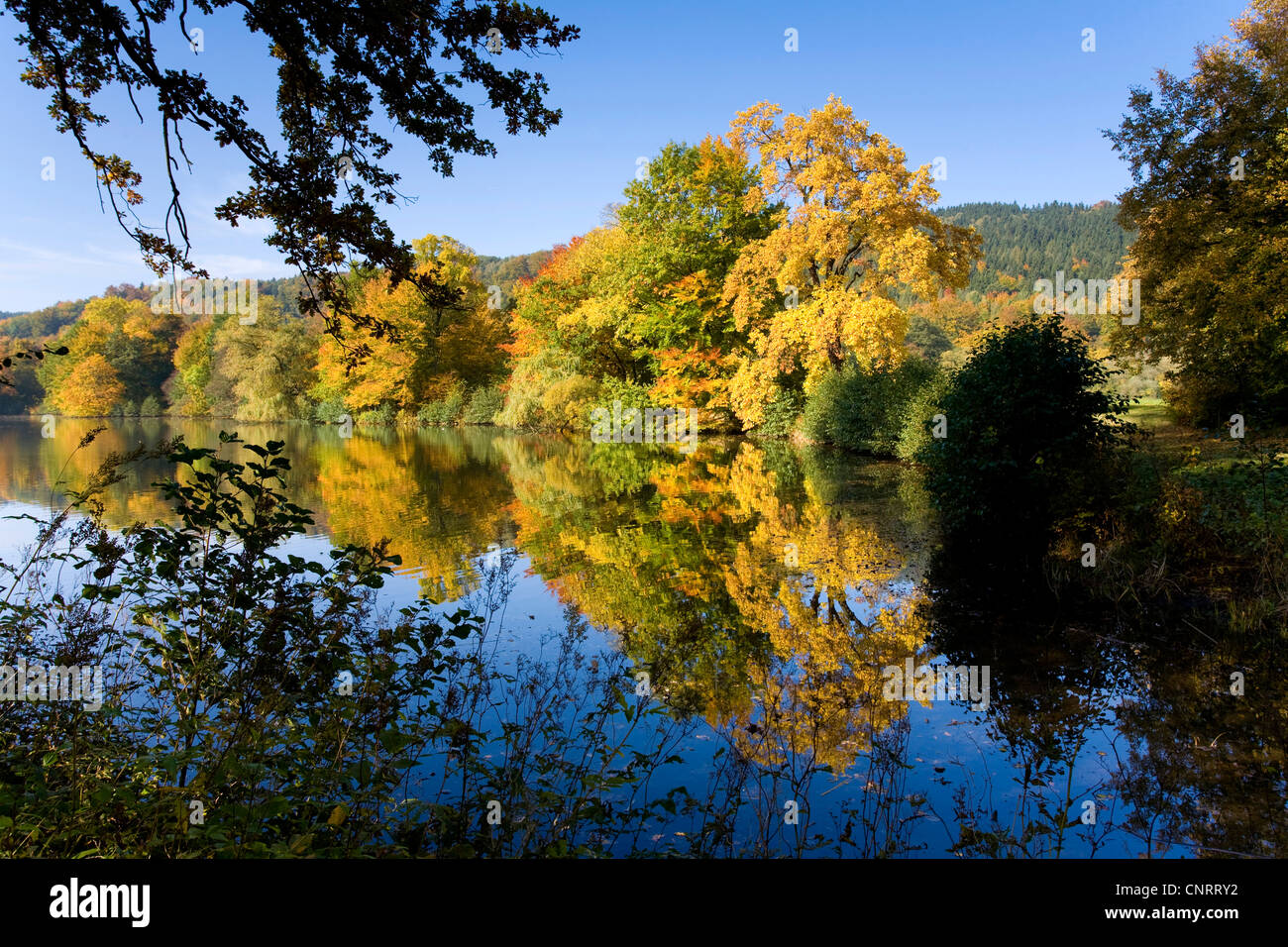 lake at palace ground Greiz, Germany, Thueringen Stock Photo - Alamy
