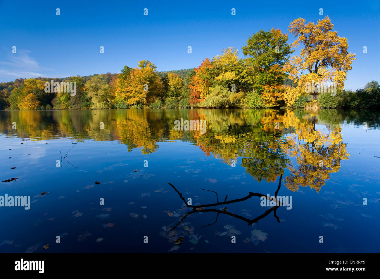 lake at palace ground Greiz, Germany, Thueringen Stock Photo - Alamy