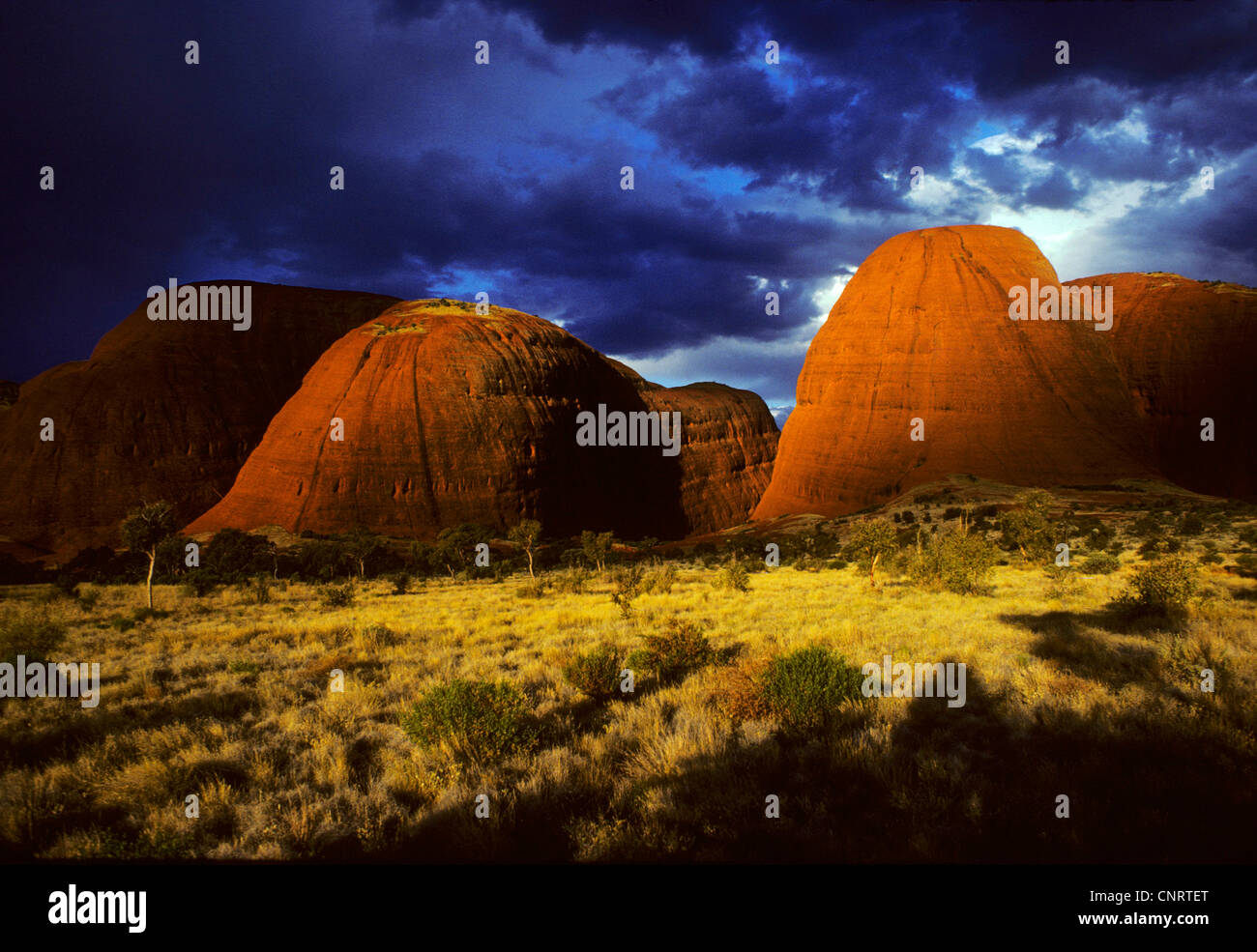 Mount Olga, Australia, Uluru-Kata Tjuta National Park Stock Photo - Alamy
