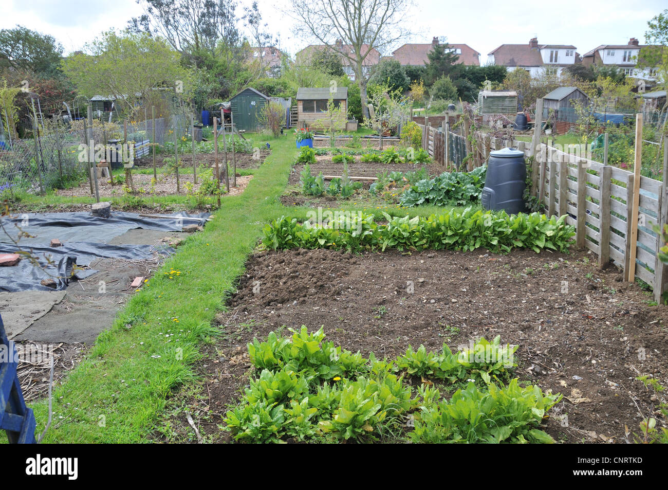 Uk Allotments High Resolution Stock Photography and Images - Alamy