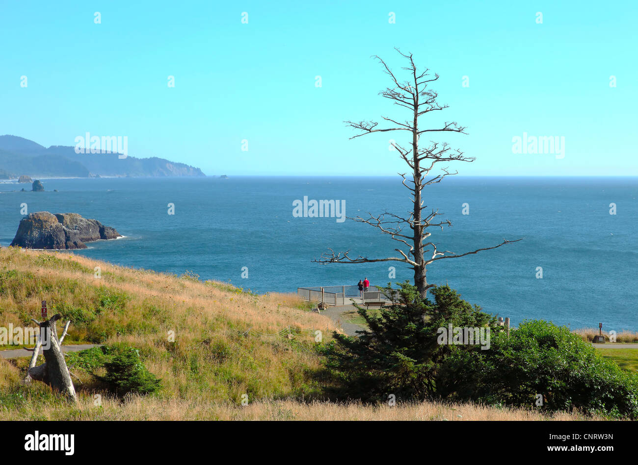 Ecola state park, Oregon coast & the Pacific ocean Stock Photo - Alamy
