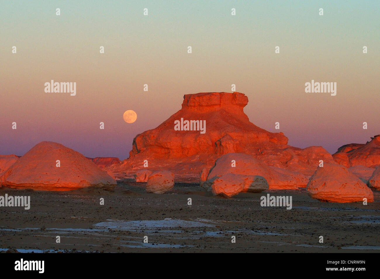 rock formation in evening sun with full moon, Egypt, White Desert ...