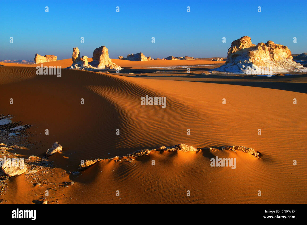 desert landscape with rocks, Egypt, White Desert National Park Stock ...