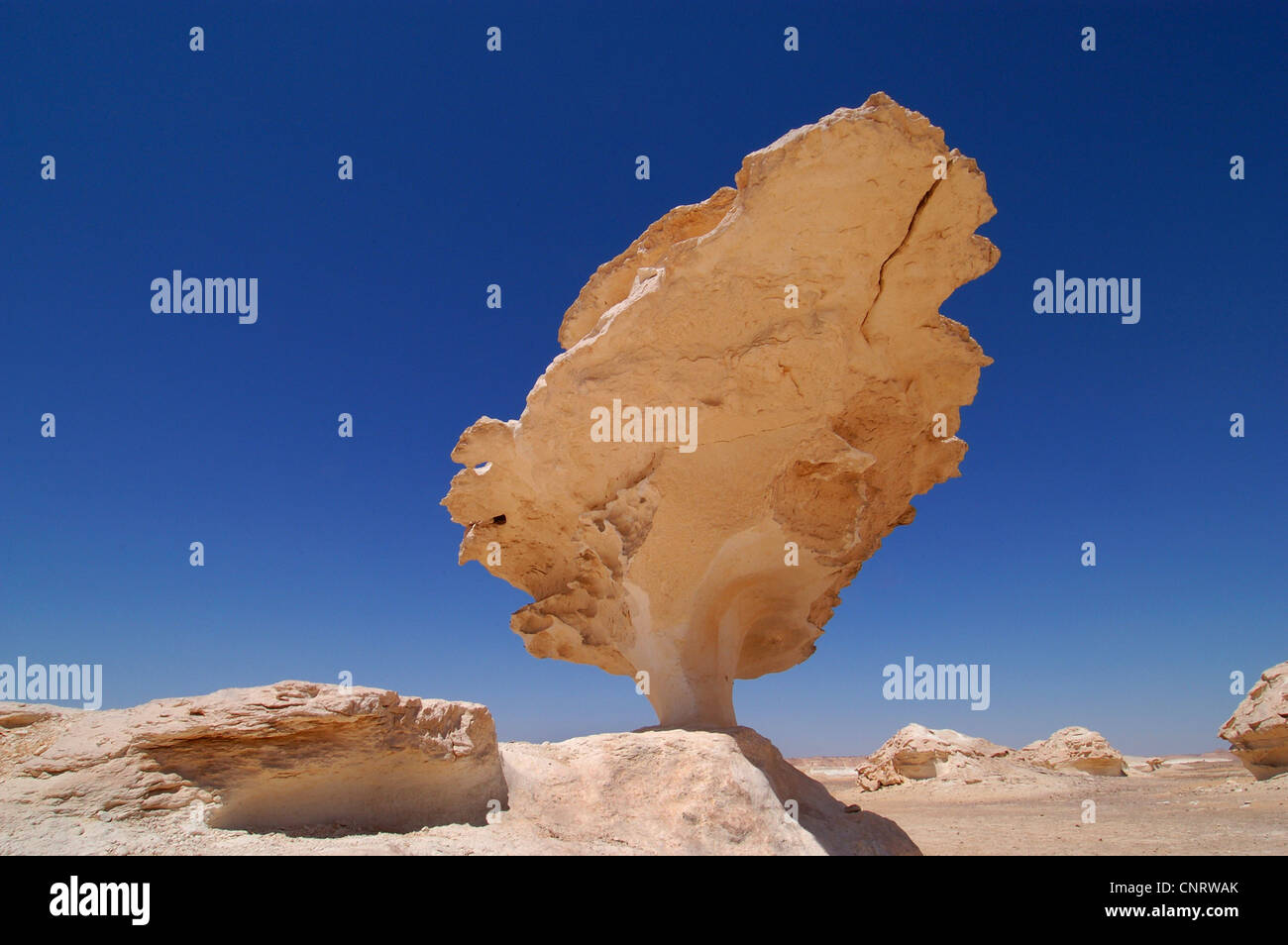 desert landscape with limestone formations, Egypt, White Desert ...