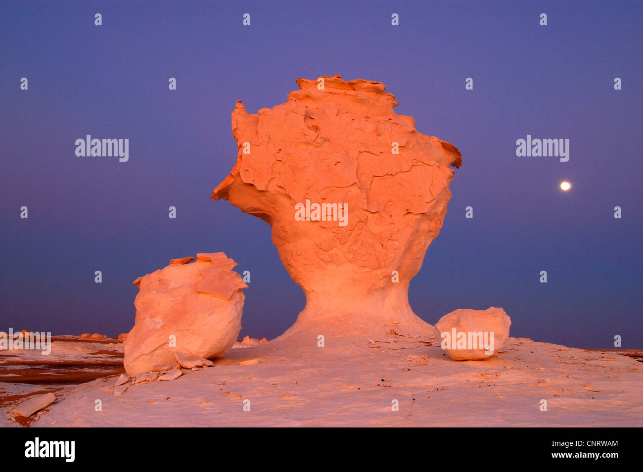 desert landscape with limestone formations in evening light, Egypt ...