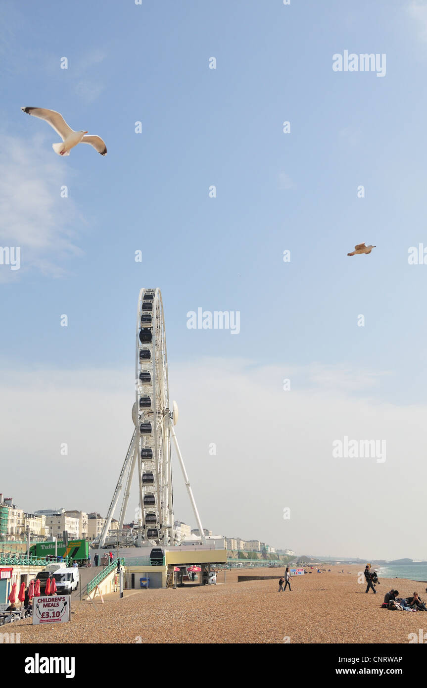 Full view of the Brighton Wheel, Brighton, East Sussex, England Stock Photo - Alamy