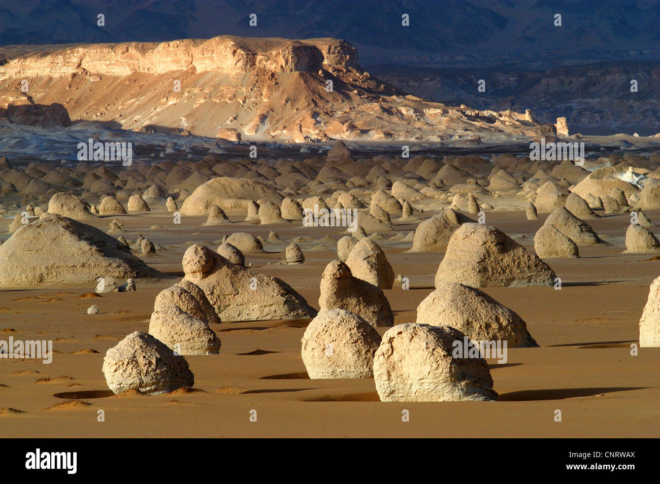 desert landscape with limestone formations , Egypt, White Desert ...