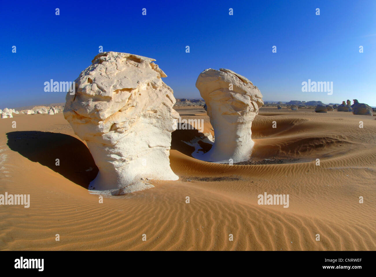 rock formation in desert landscape , Egypt, White Desert National Park ...