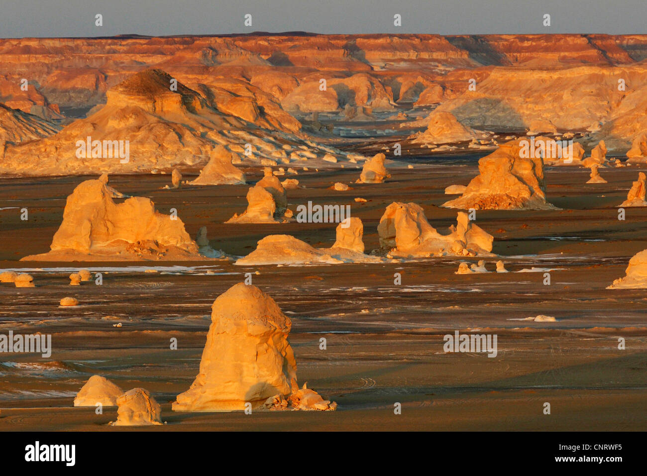 rock formation in desert landscape in evening light, Egypt, White ...
