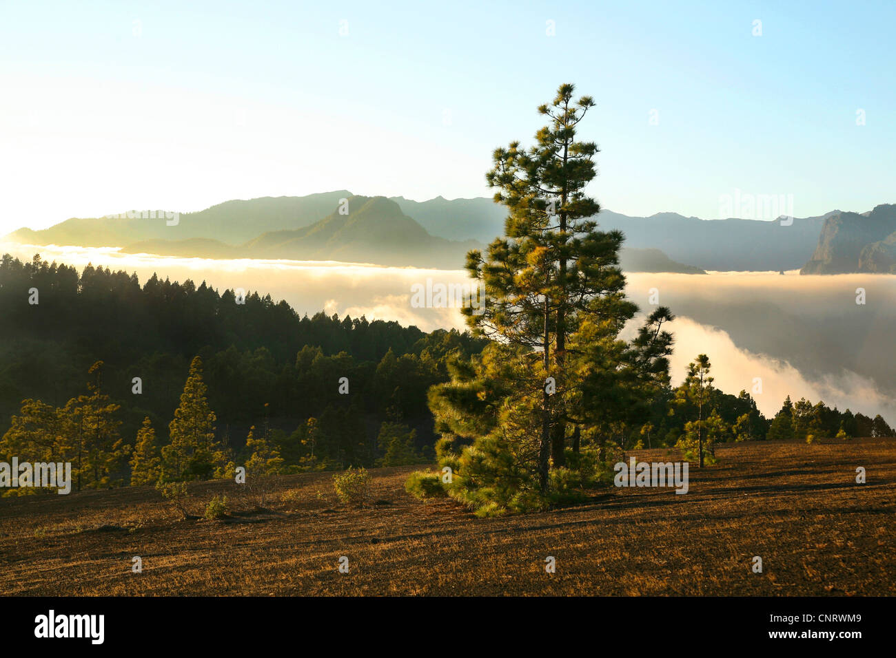 Sparse photos hi-res stock photography and images - Alamy