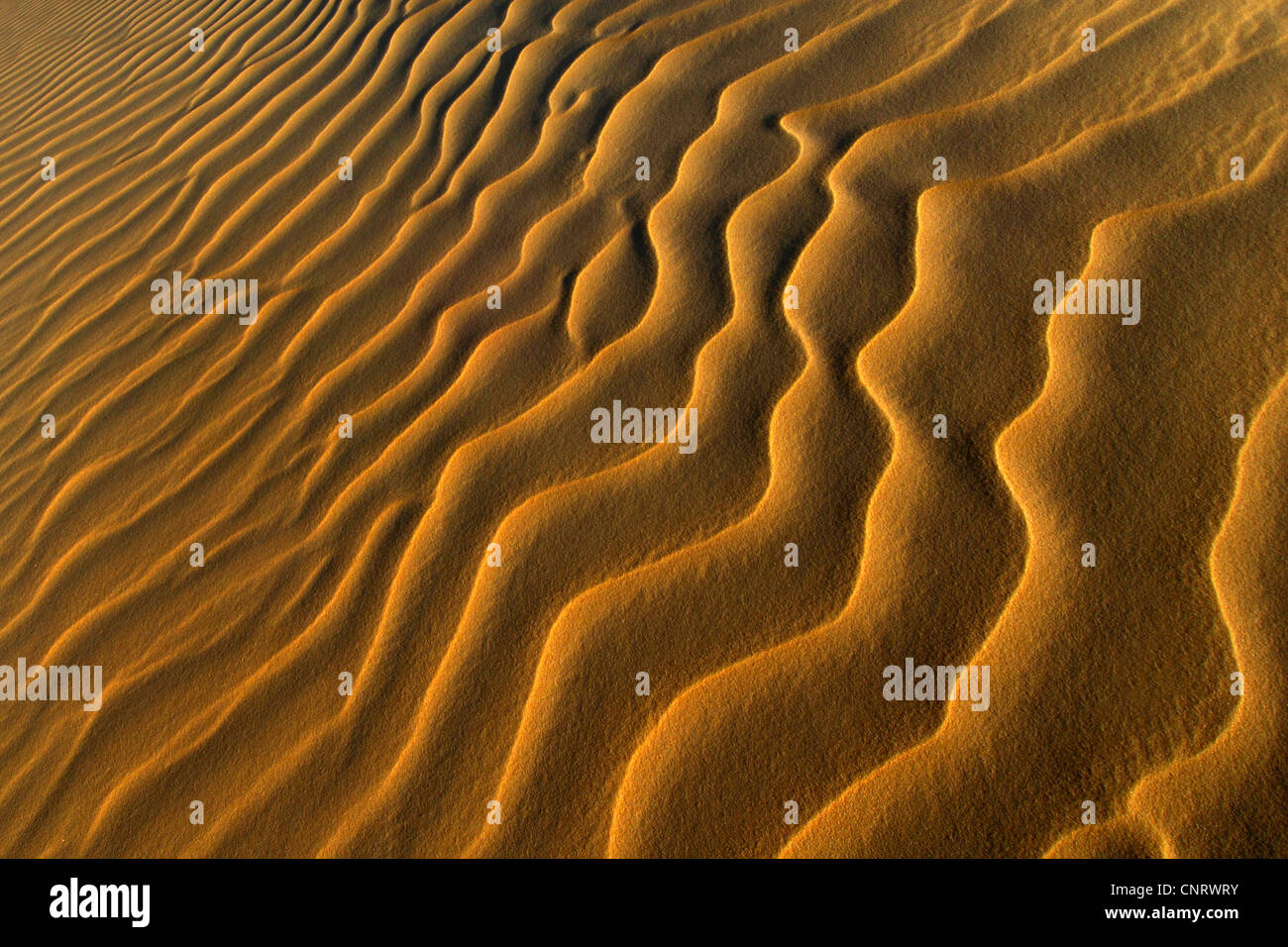 sand ripples in desert, Egypt, White Desert National Park Stock Photo ...