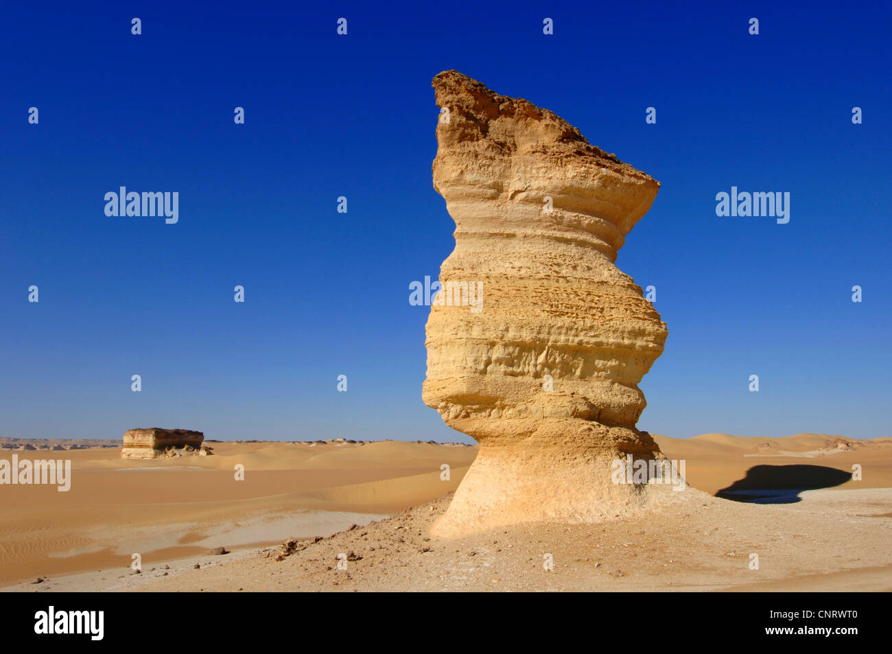 the Great Sand Sea, Egypt, Sahara Stock Photo - Alamy