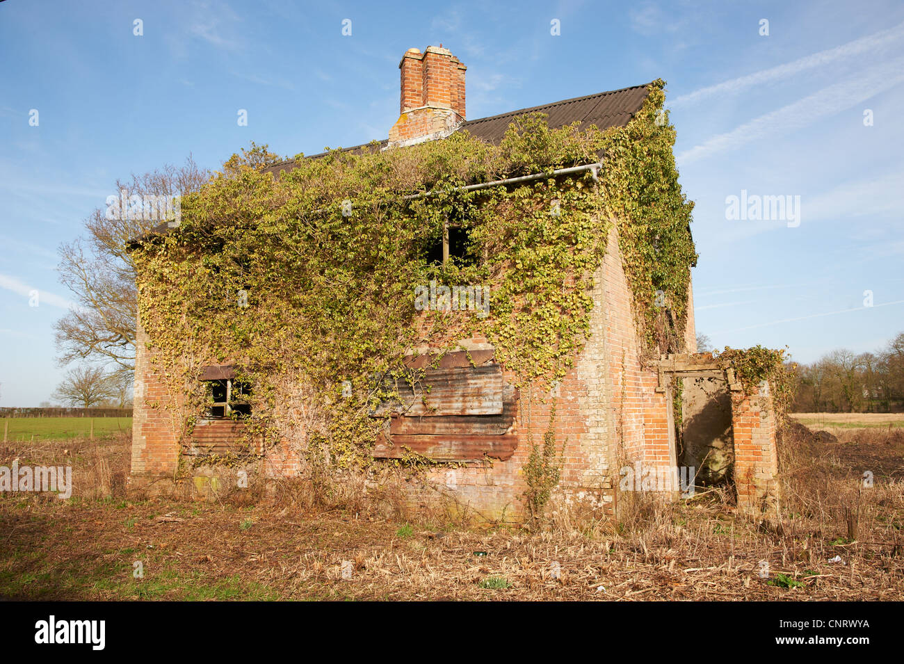 A derelict and overgrown red brick house in an isolated and rural ...