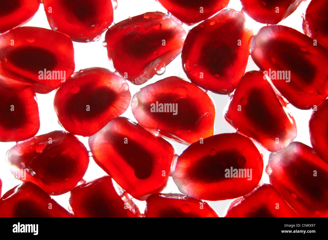 Anar photography hi-res stock photography and images - Alamy