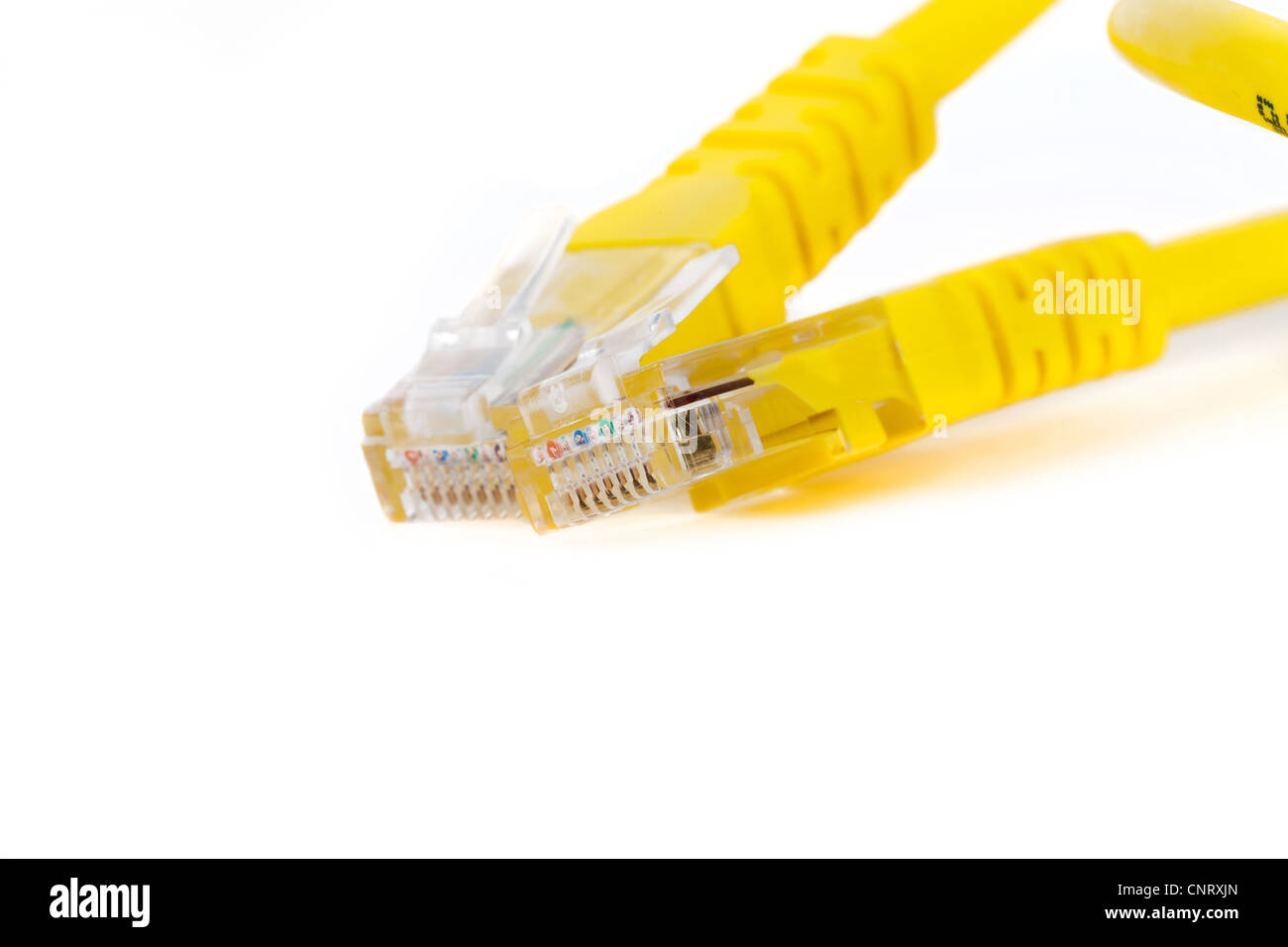 Yellow network cable isolated on white background Stock Photo - Alamy