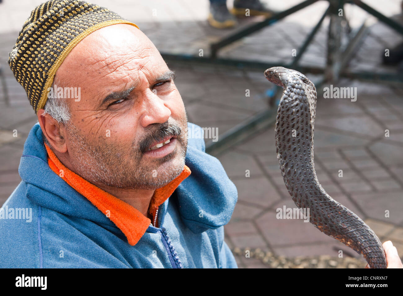 A Snake charmers snakes in Marrakech, Morocco, North Africa Stock Photo ...
