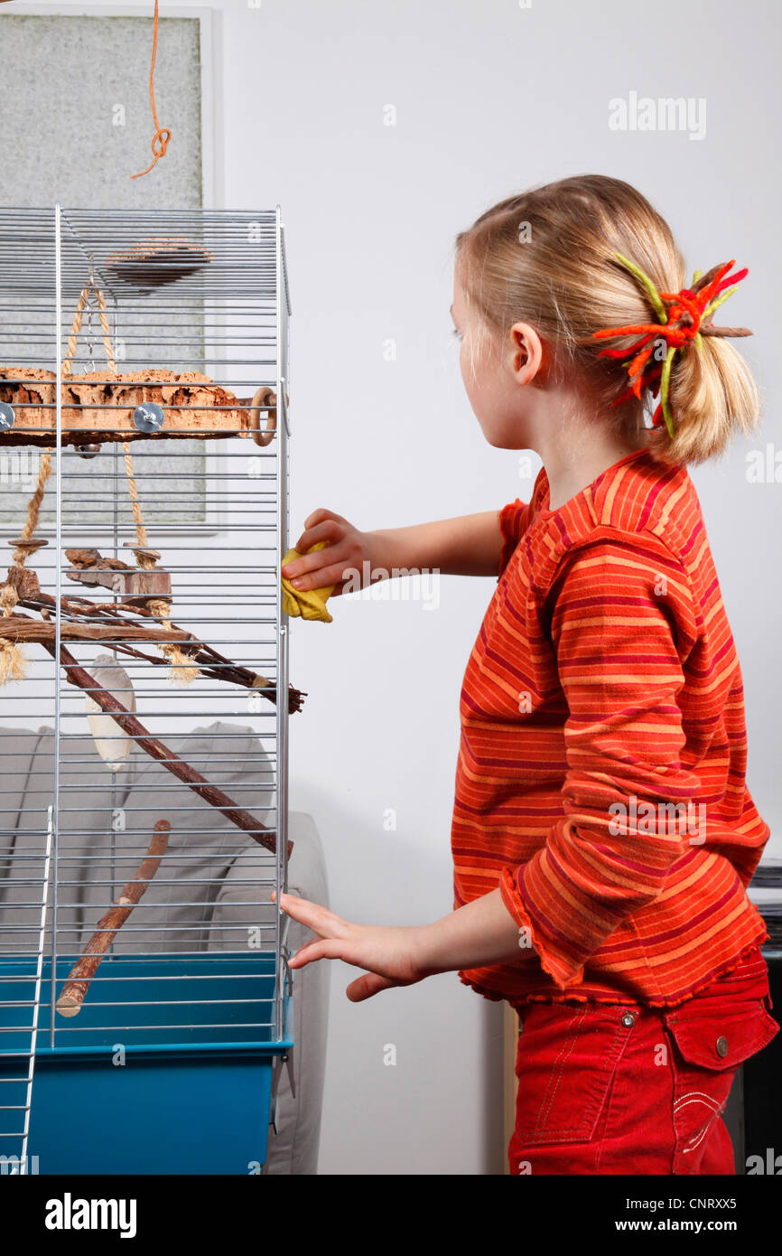Cleaning bird cages hi-res stock photography and images - Alamy