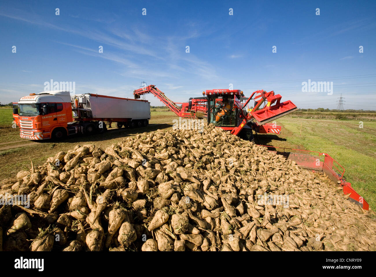 A Holmer Terra Felis 2 self propelled loader cleaner loads sugar beet ...