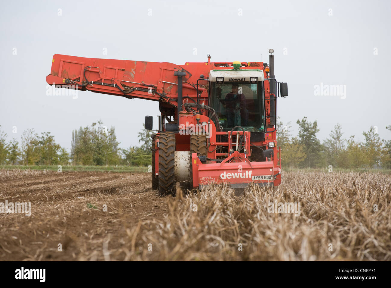 Potato lifting hi-res stock photography and images - Alamy
