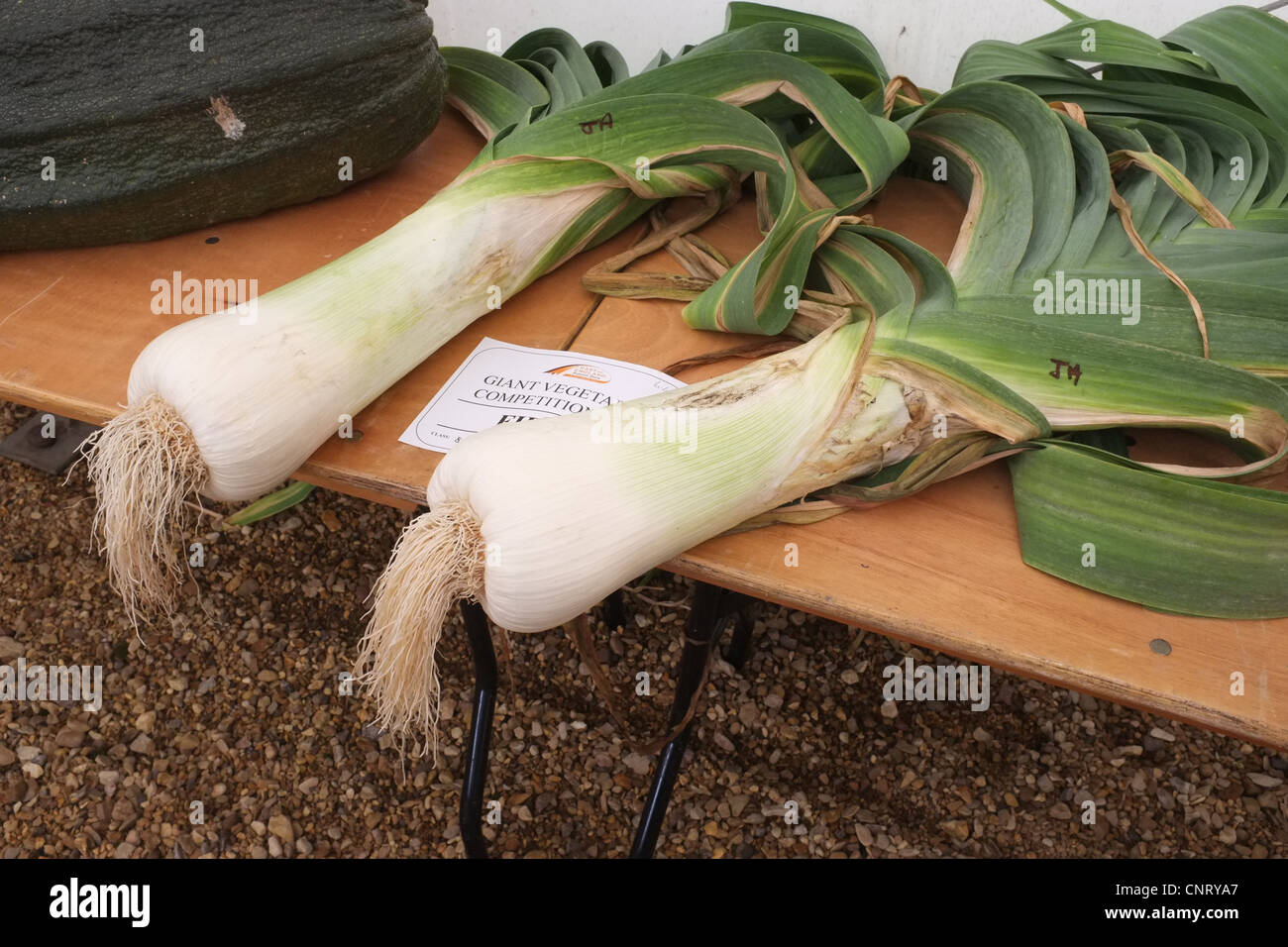 Giant Leeks at a vegetable show Stock Photo - Alamy