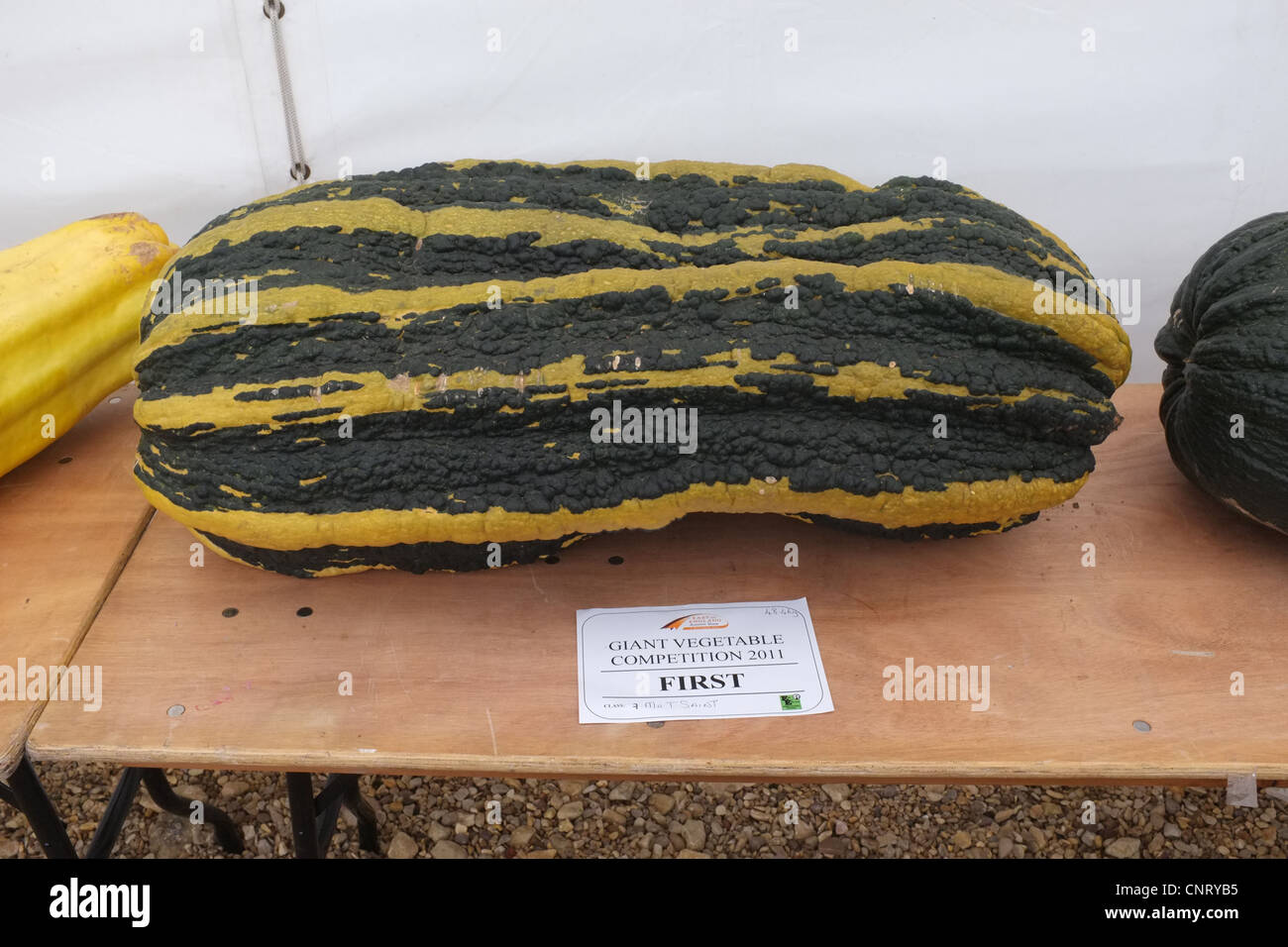 Giant marrow hi-res stock photography and images - Alamy