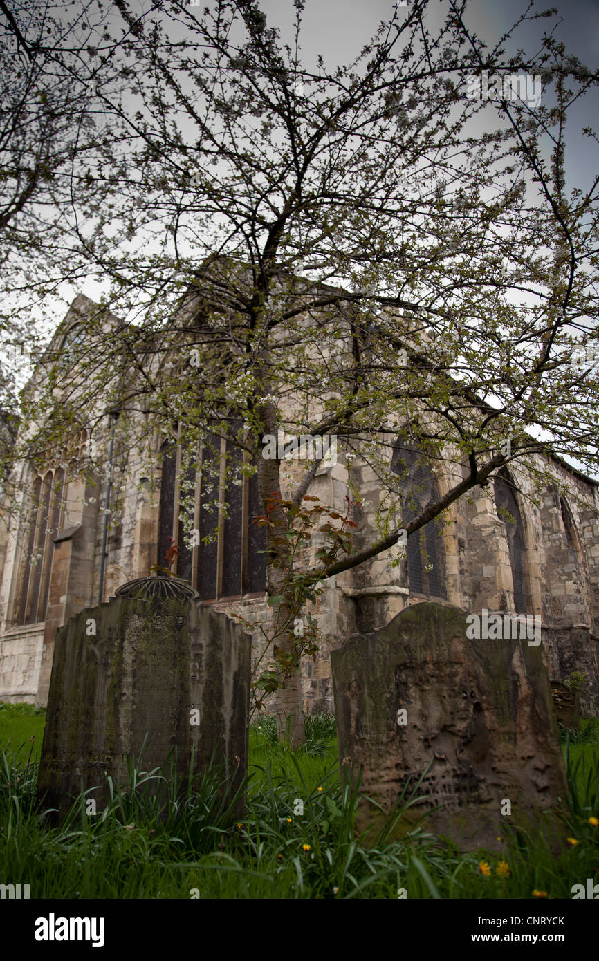St Denys, Walmgate York, with foreground flowers Stock Photo - Alamy