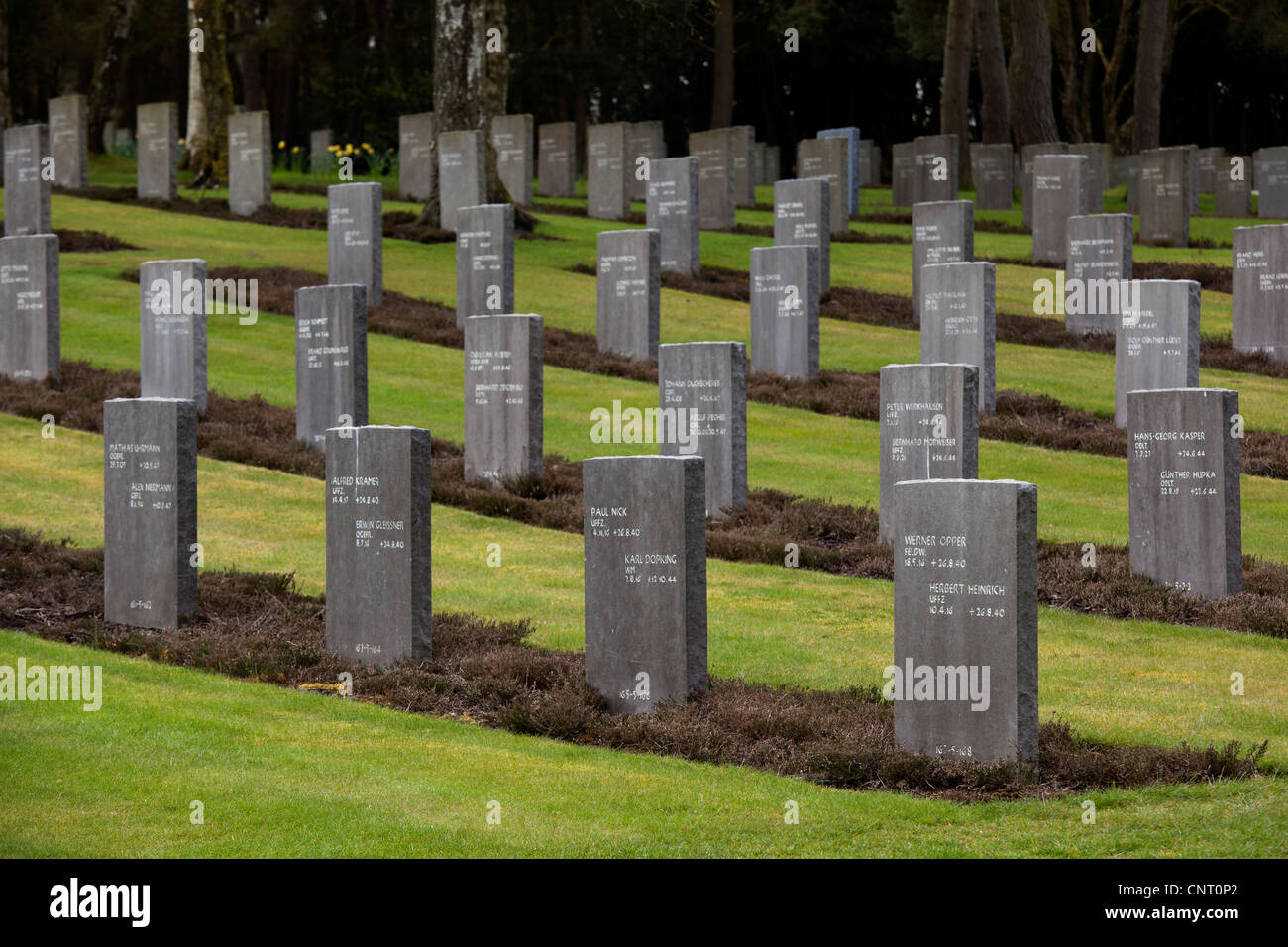 German War Cemetery, Cannock Chase, Staffordshire, UK Stock Photo - Alamy