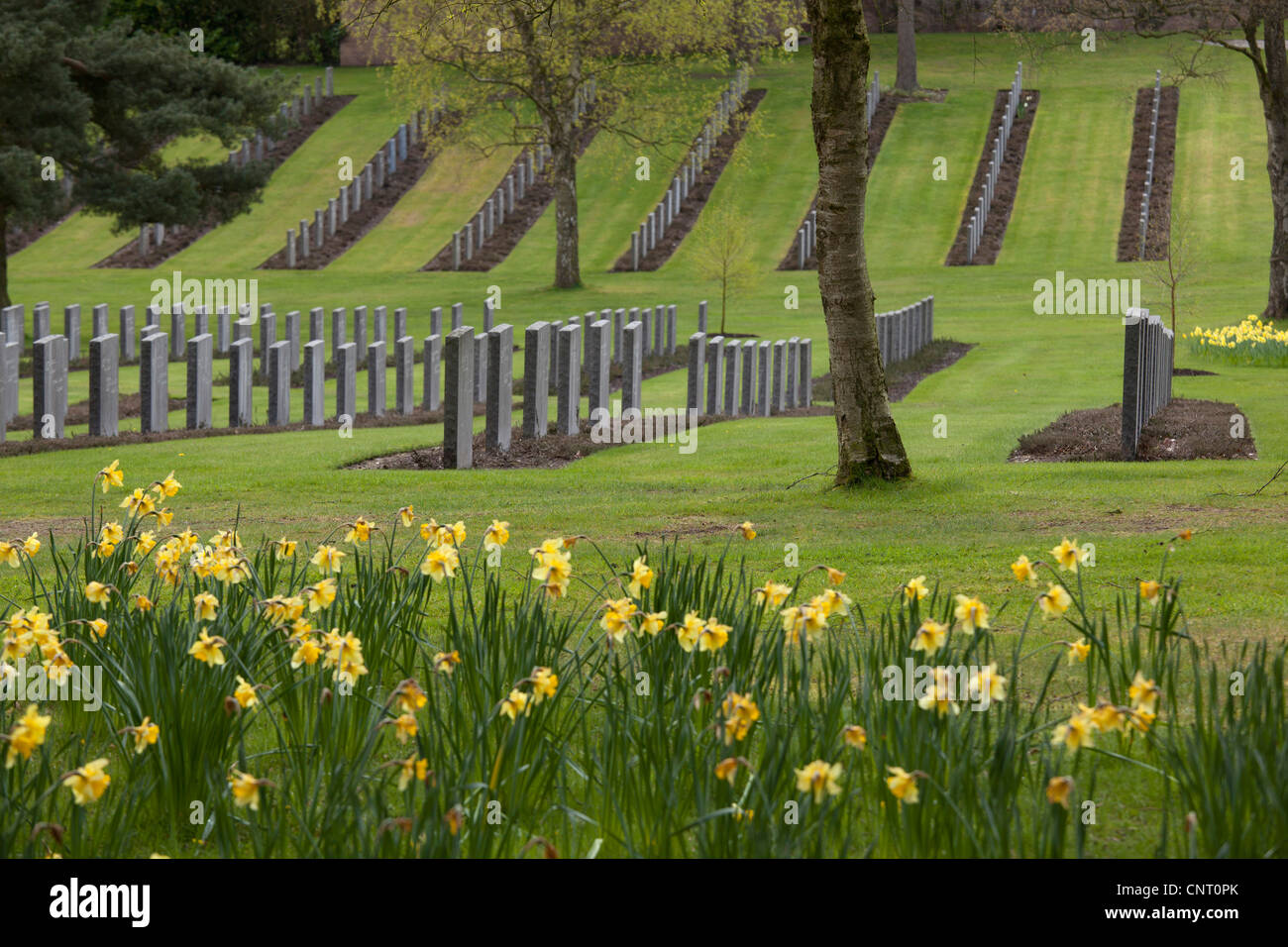 German War Cemetery, Cannock Chase, Staffordshire, UK Stock Photo - Alamy