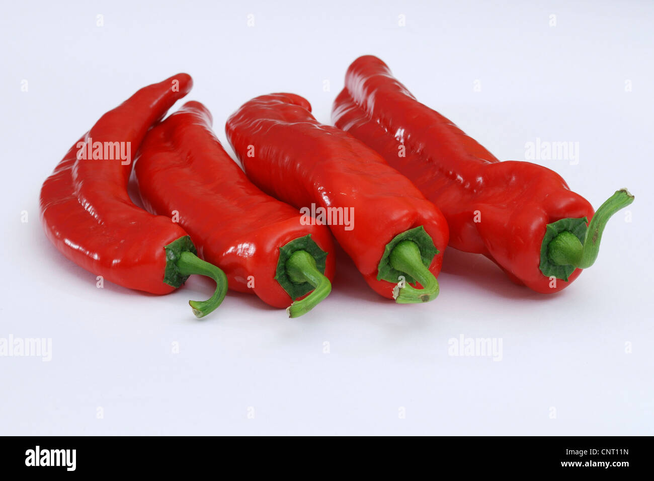 chili pepper, paprika (Capsicum annuum), red ramiro peppers Stock Photo ...