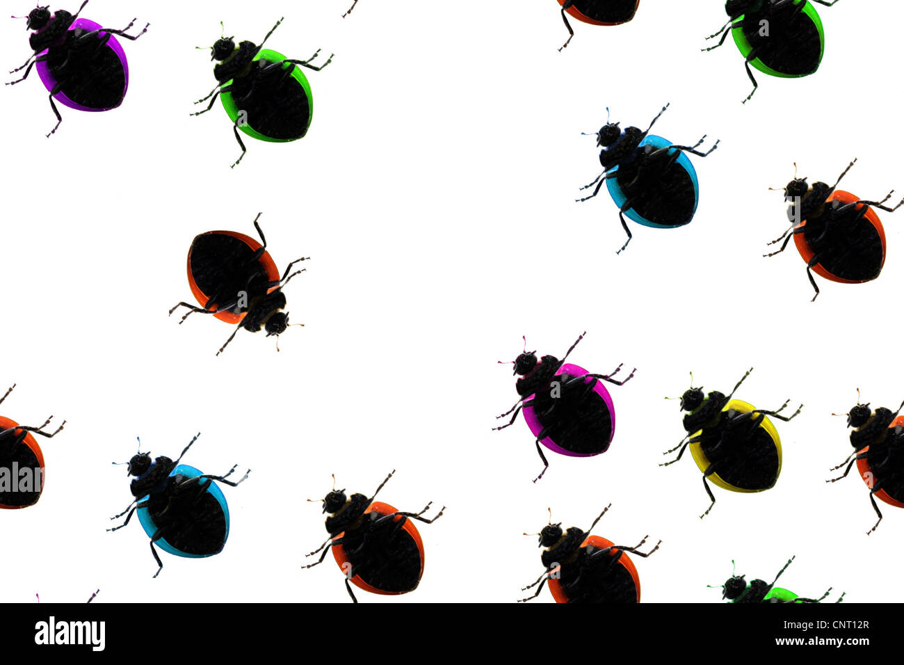 Team of coloured ladybugs hi-res stock photography and images - Alamy