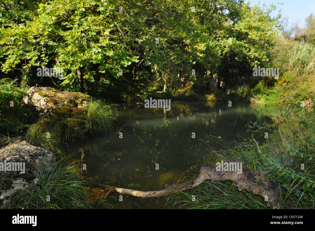 Poly limni hi-res stock photography and images - Alamy