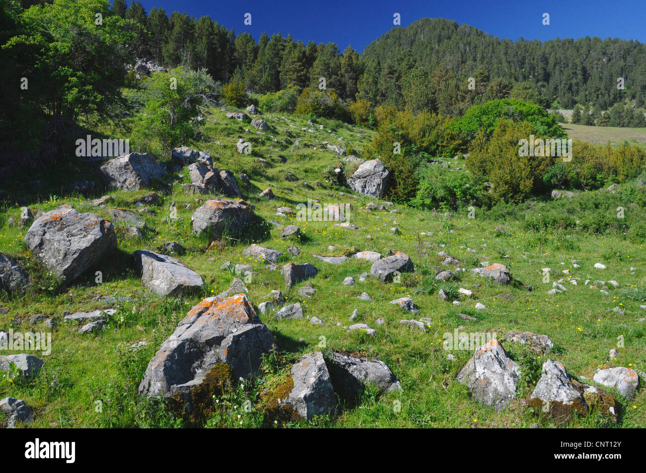 mountain scenery in the Spain Pyrenees, Spain, Katalonia, Pyrenees ...