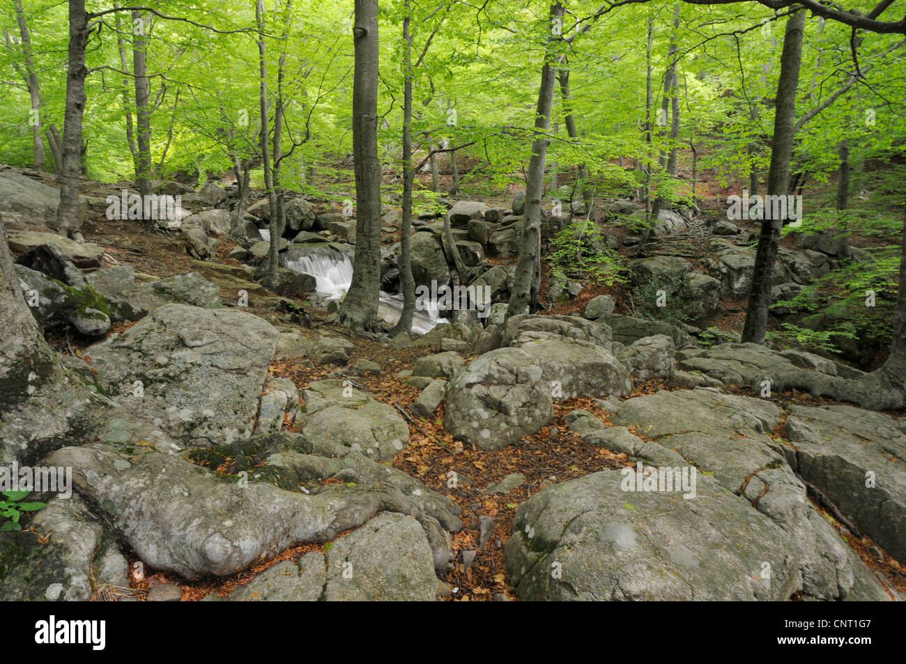 Catalonian natural parks hi-res stock photography and images - Alamy