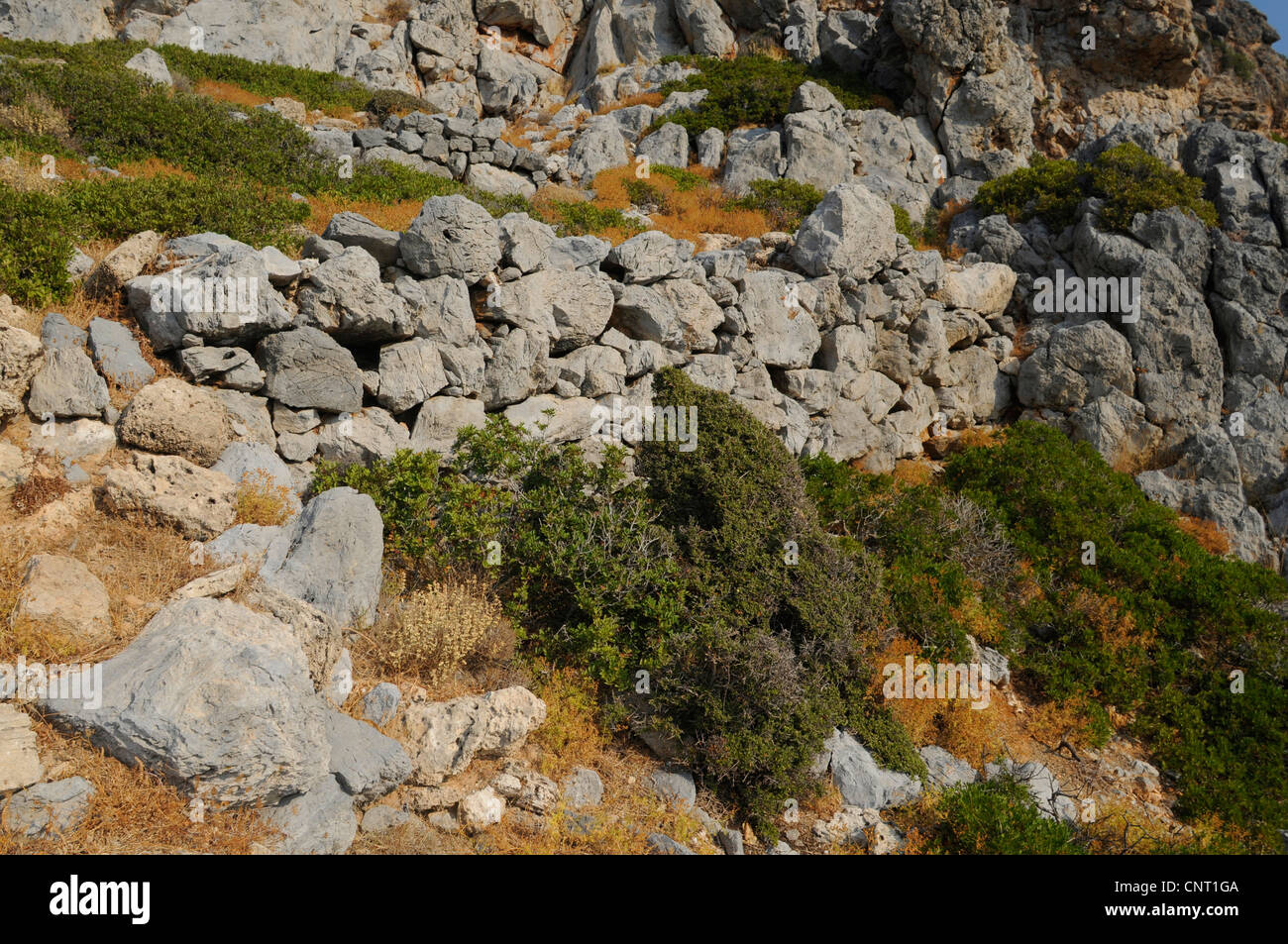olt stone wall on Creta, Greece, Creta Stock Photo - Alamy
