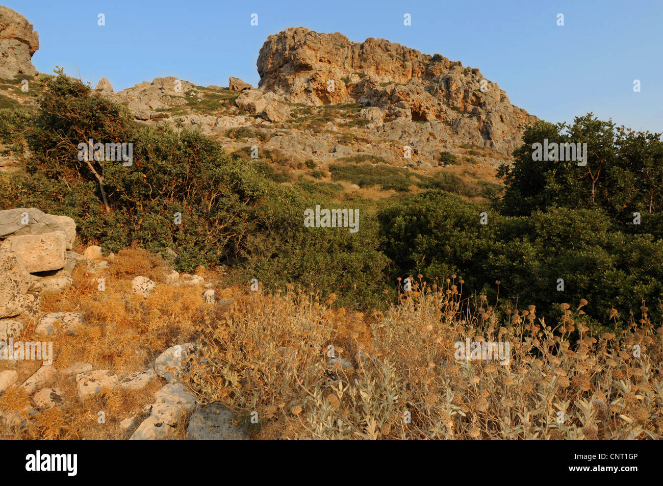 rocky landscape on Creta, Greece, Creta Stock Photo - Alamy