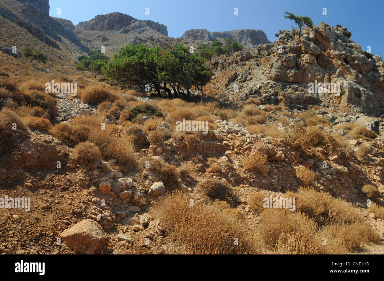 Dry mountain landscape on creata hi-res stock photography and images ...