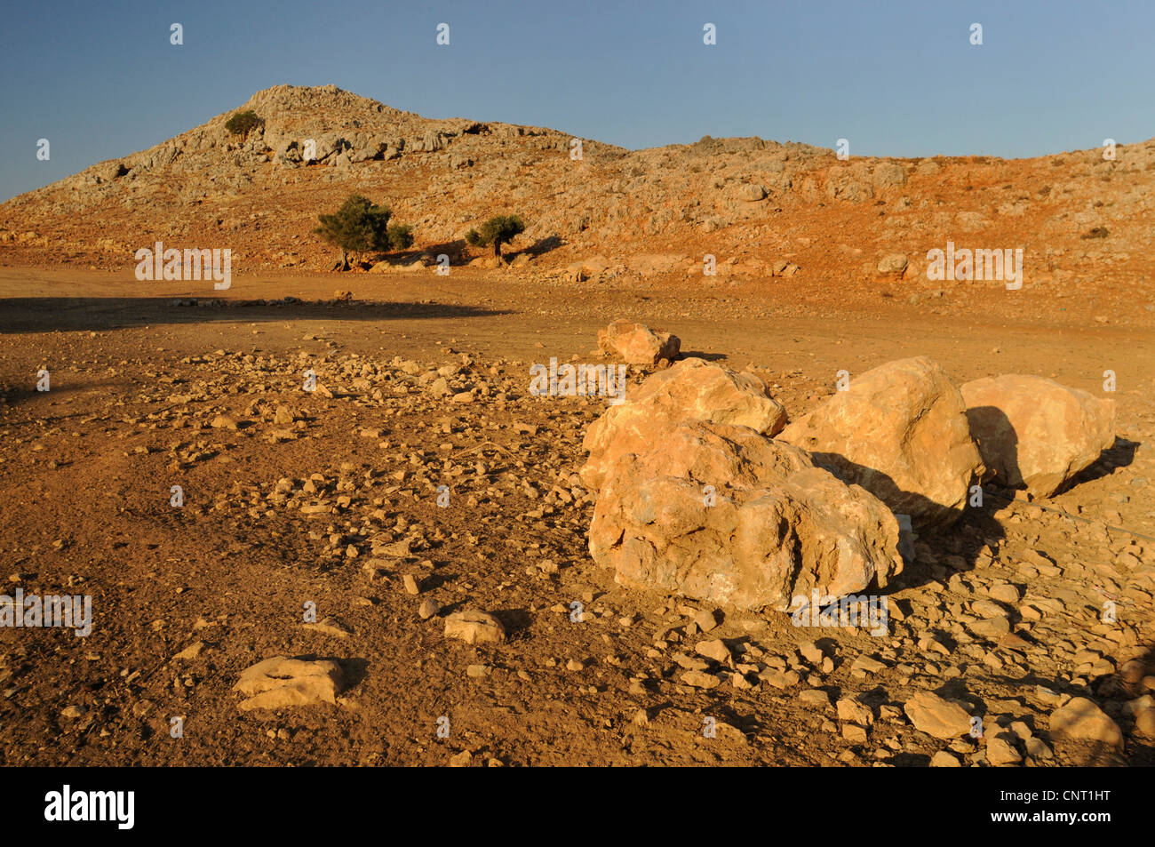 Dry desert plain landscape hi-res stock photography and images - Alamy