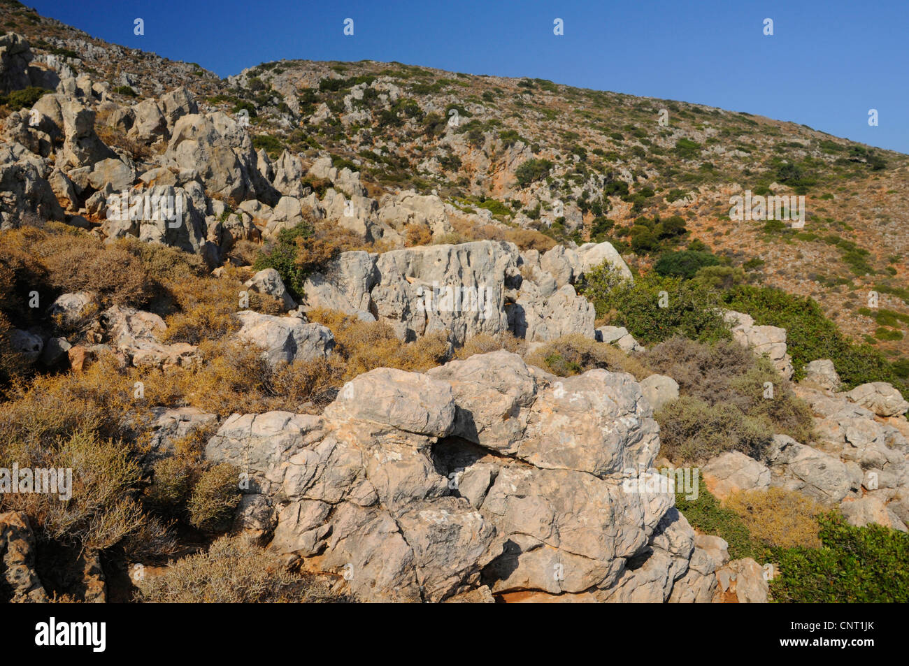 dry mountain landscape on Creata, Greece, Creta Stock Photo - Alamy
