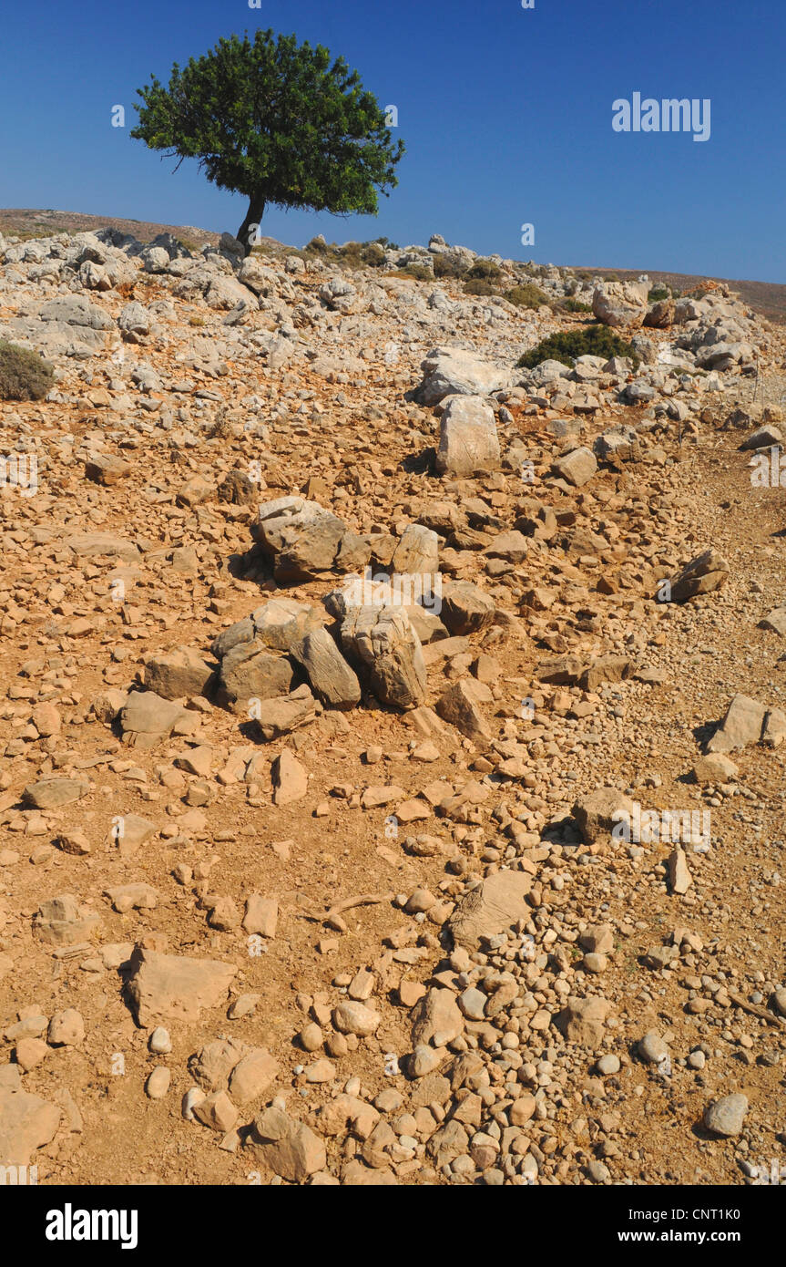 Dry rocky hi-res stock photography and images - Alamy