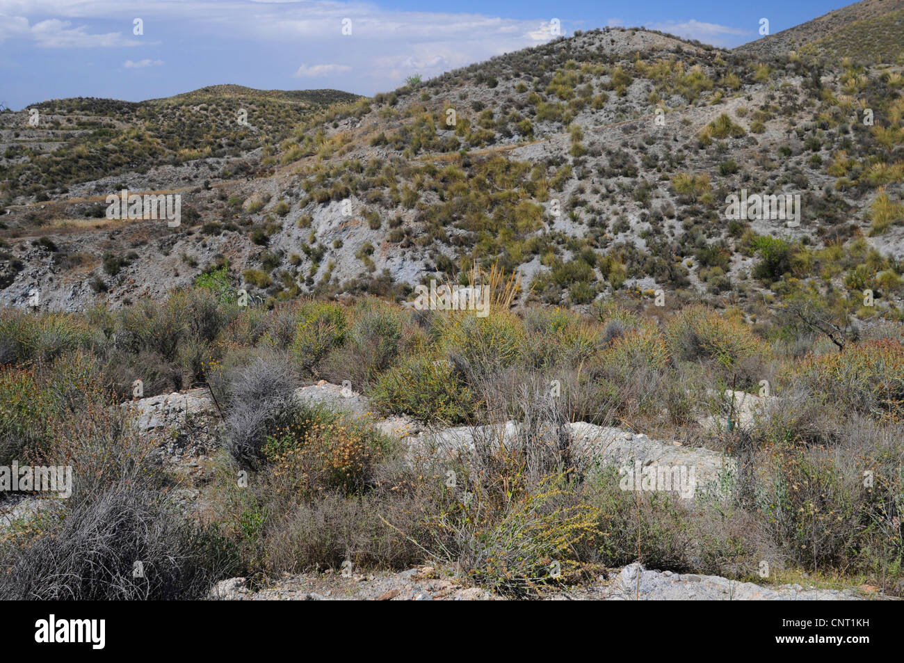 Garigue High Resolution Stock Photography and Images - Alamy