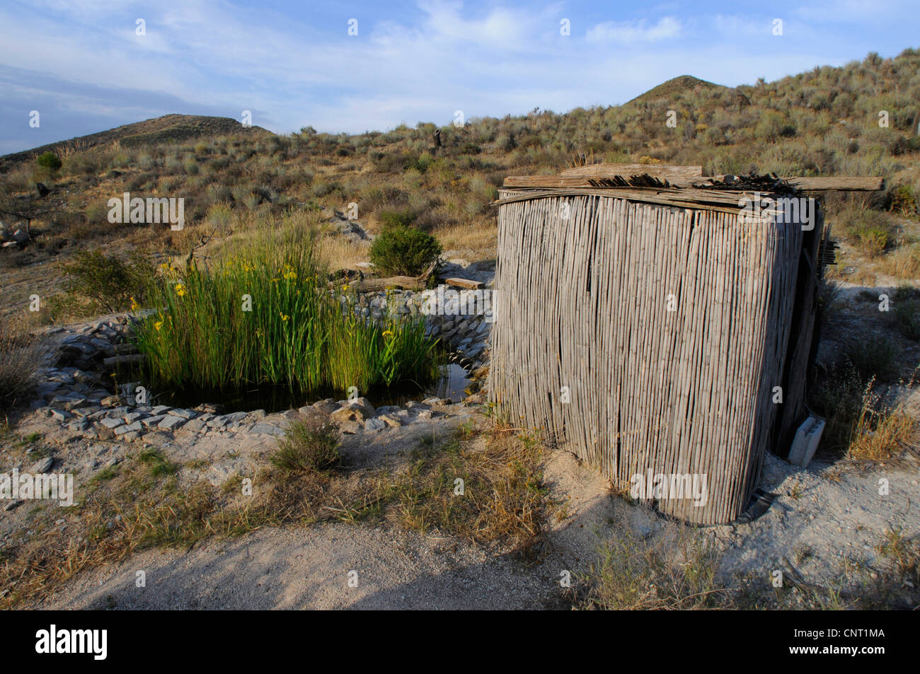 Bird observation hide hi-res stock photography and images - Alamy