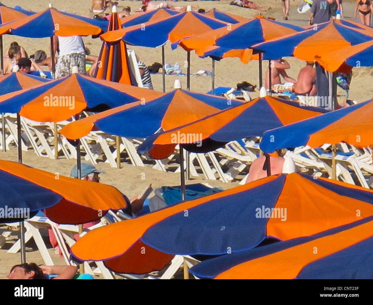 Holiday, beach, vacation, sand, sunny, seaside, sandy, sunbathing ...