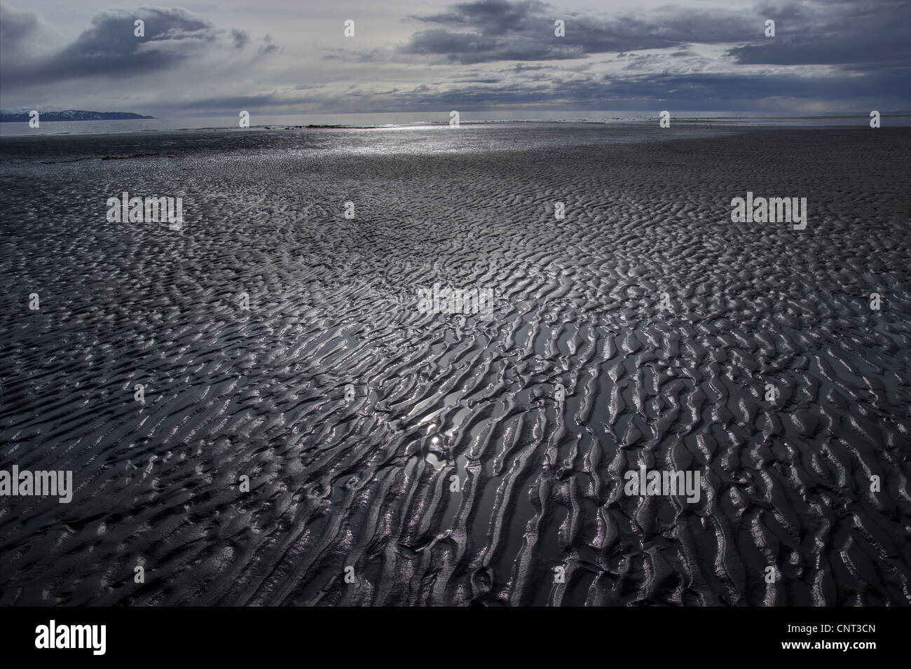 Patterns in the mud hi-res stock photography and images - Alamy